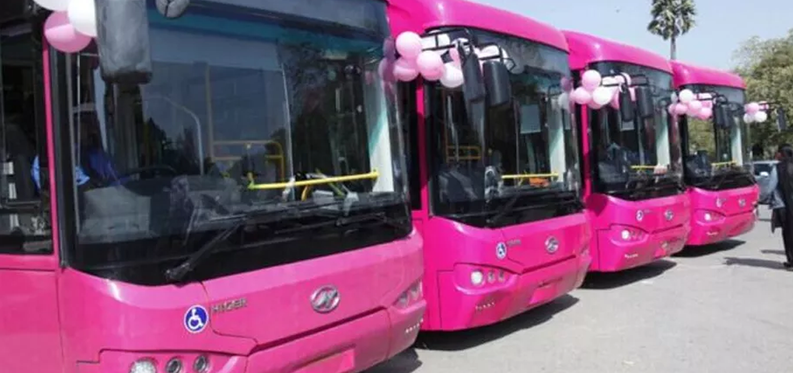 Pink Bus Service Routes and Timings Announced in Islamabad